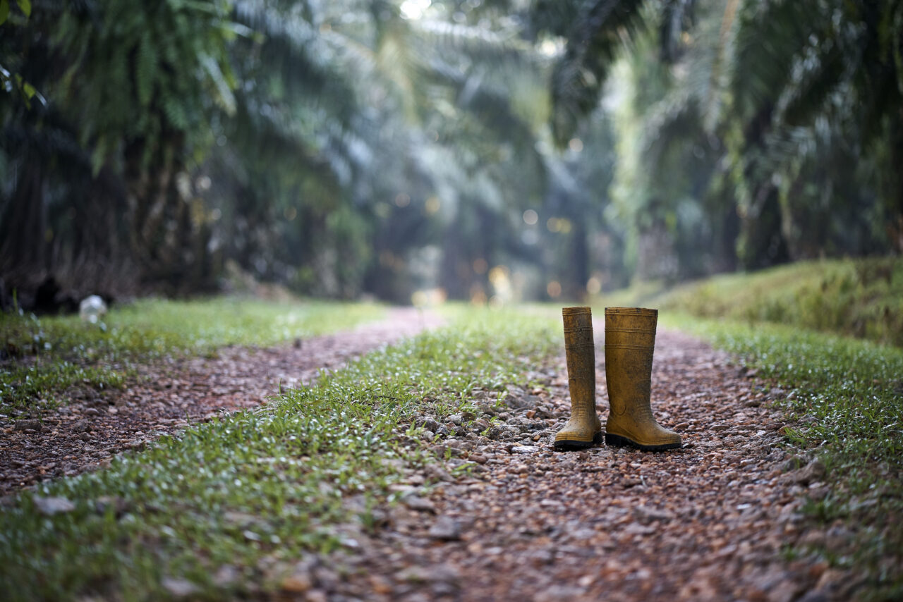 Agricultural Injury Facts and Trends | Great Plains Center for ...